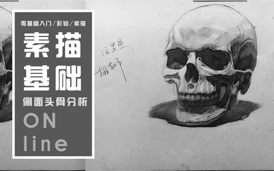 【零基础素描】 素描入门 (骷髅头)- 侧面