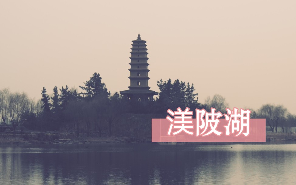 西安周边摩旅目的地—鄠邑区渼陂湖|人少景美|拍照出片|颜值高