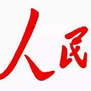 积极的枫叶o