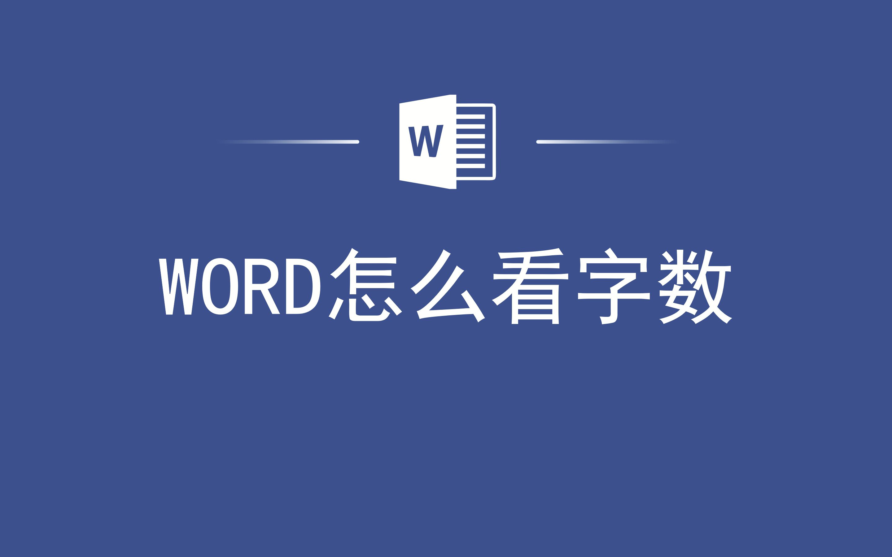 WORD怎么看字数