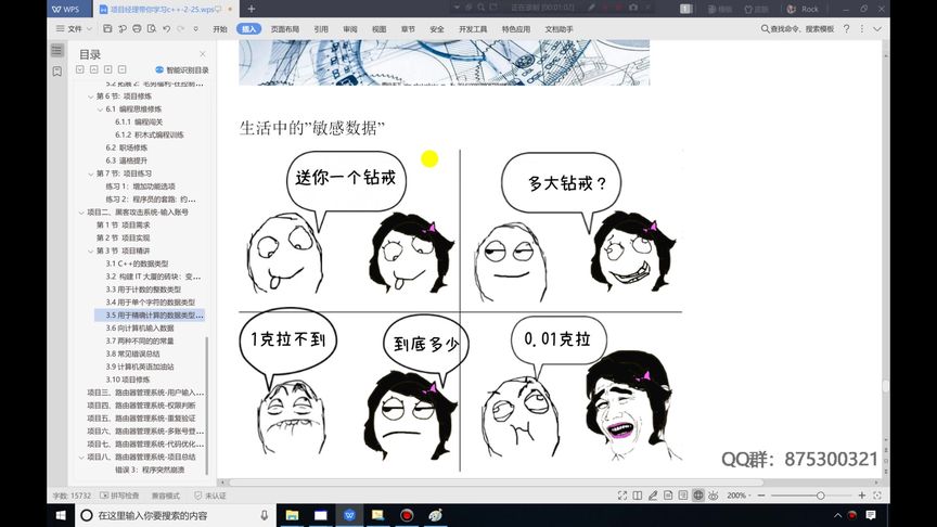 【C/C++】项目精讲-用于精确计算的数据类型