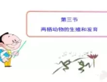 7.1.3两栖动物的生殖和发育(微课7'21'')