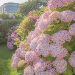 琛荃草草 