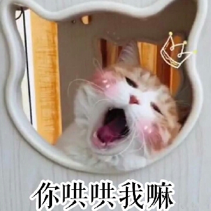 闲鱼半糖周可可 