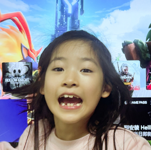 顽童八斤游戏记 