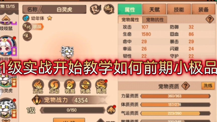 【造梦无双】无双玩家养宠必学技巧!