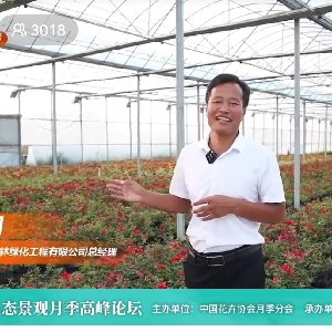 七彩园林王建明 