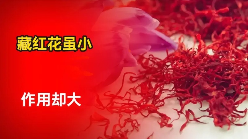 藏红花虽小,作用却大,关于它的食用禁忌,喝之前要了解清楚