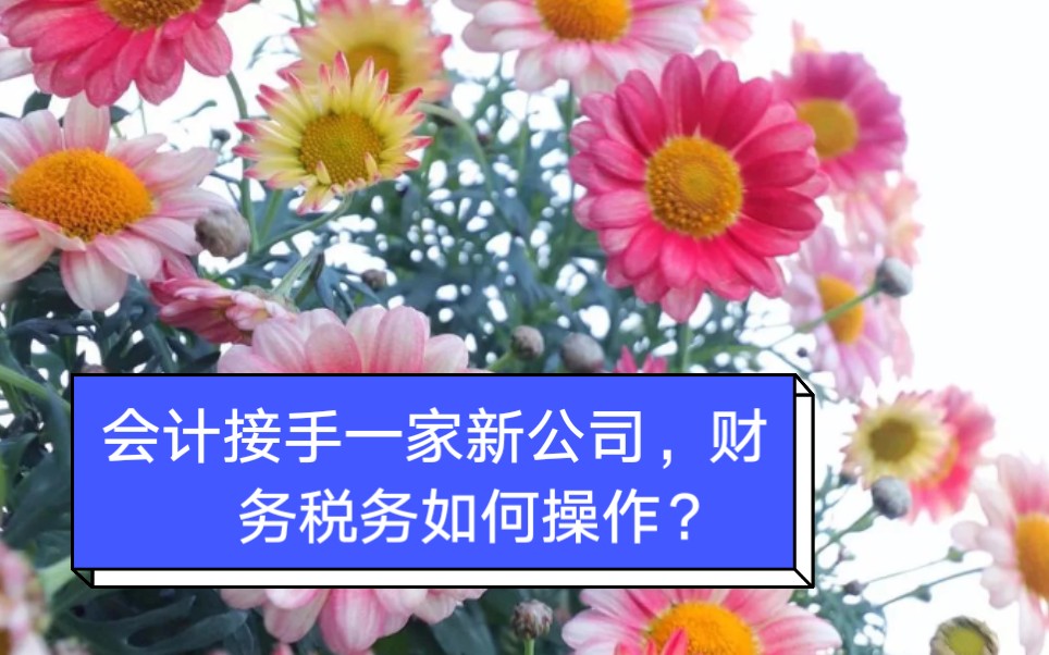 您想知道吗一一会计接手一家新公司,财务税务如何操作?