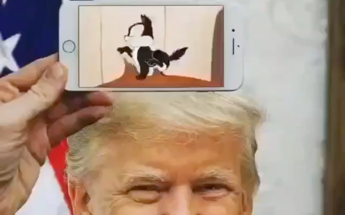 动画与现实的完美结合