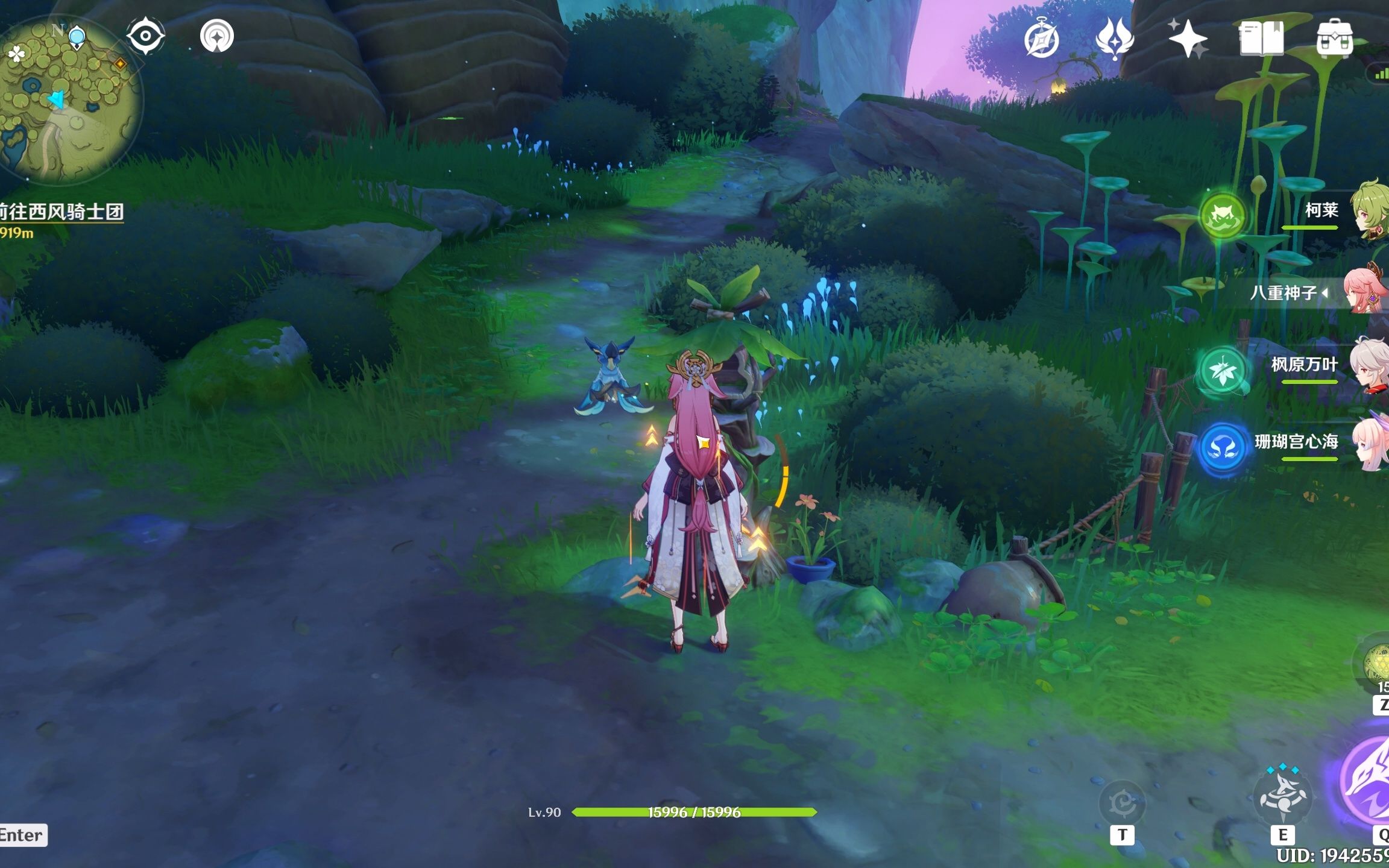 原神《森林书》沙漠后续宝箱