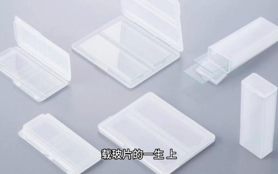 今日科普之载玻片的一生(上)