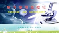 练习使用显微镜(陈文雄微课)——中国地质大学附属学校南望山工作室