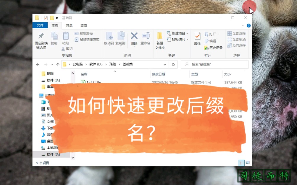 文件太多?格式不统一?如何快速批量更改后缀名 摆脱一个一个重命名