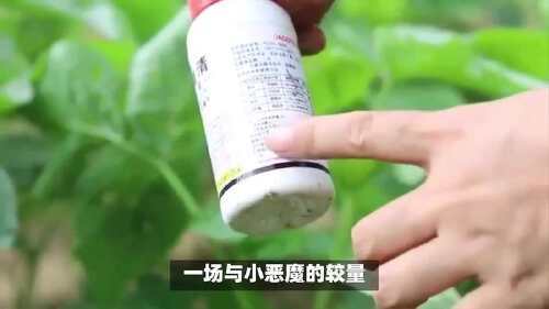 警惕!这些日常行为竟会导致有机磷中毒,严重可致命!