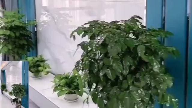 新房这样设计客厅真显大,简约时尚黑白灰设计,开放式厨房很亮堂