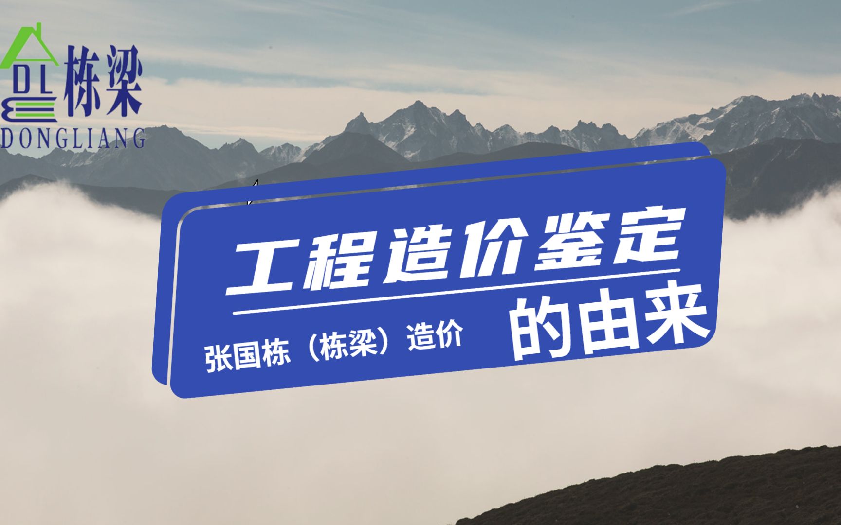 张国栋(栋梁)造价之工程造价鉴定的由来