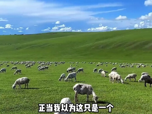 山羊模拟器游戏的离谱玩法游戏搞笑离谱中国玩家