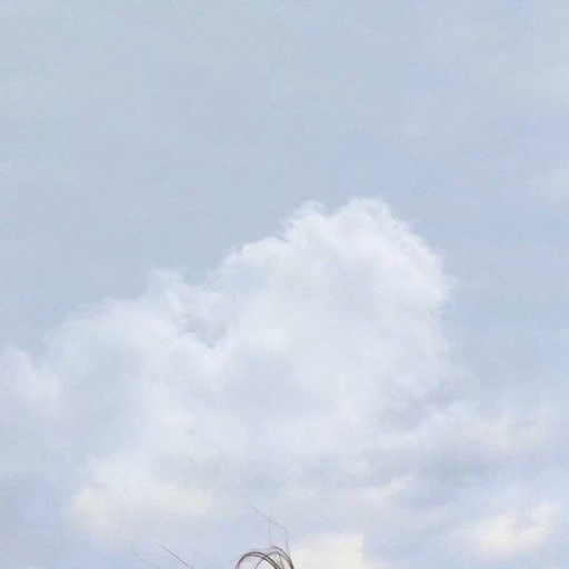 月兔贩卖机 