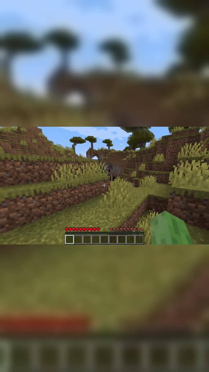 我的世界:使用光影!