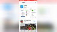 TestFlight 下载指引