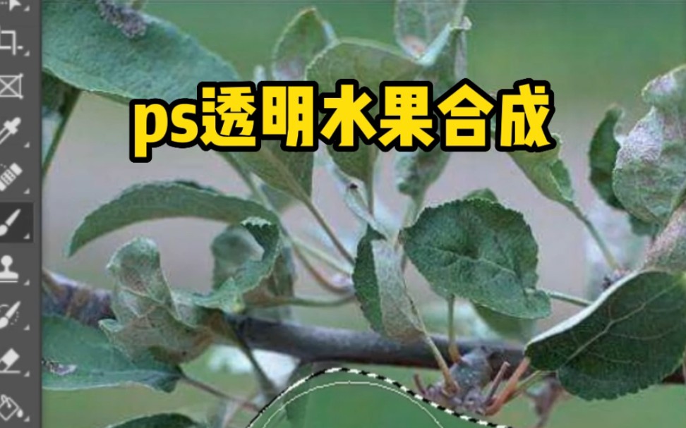 ps透明水果合成