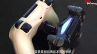 ~ps4手柄不可告人的秘密~