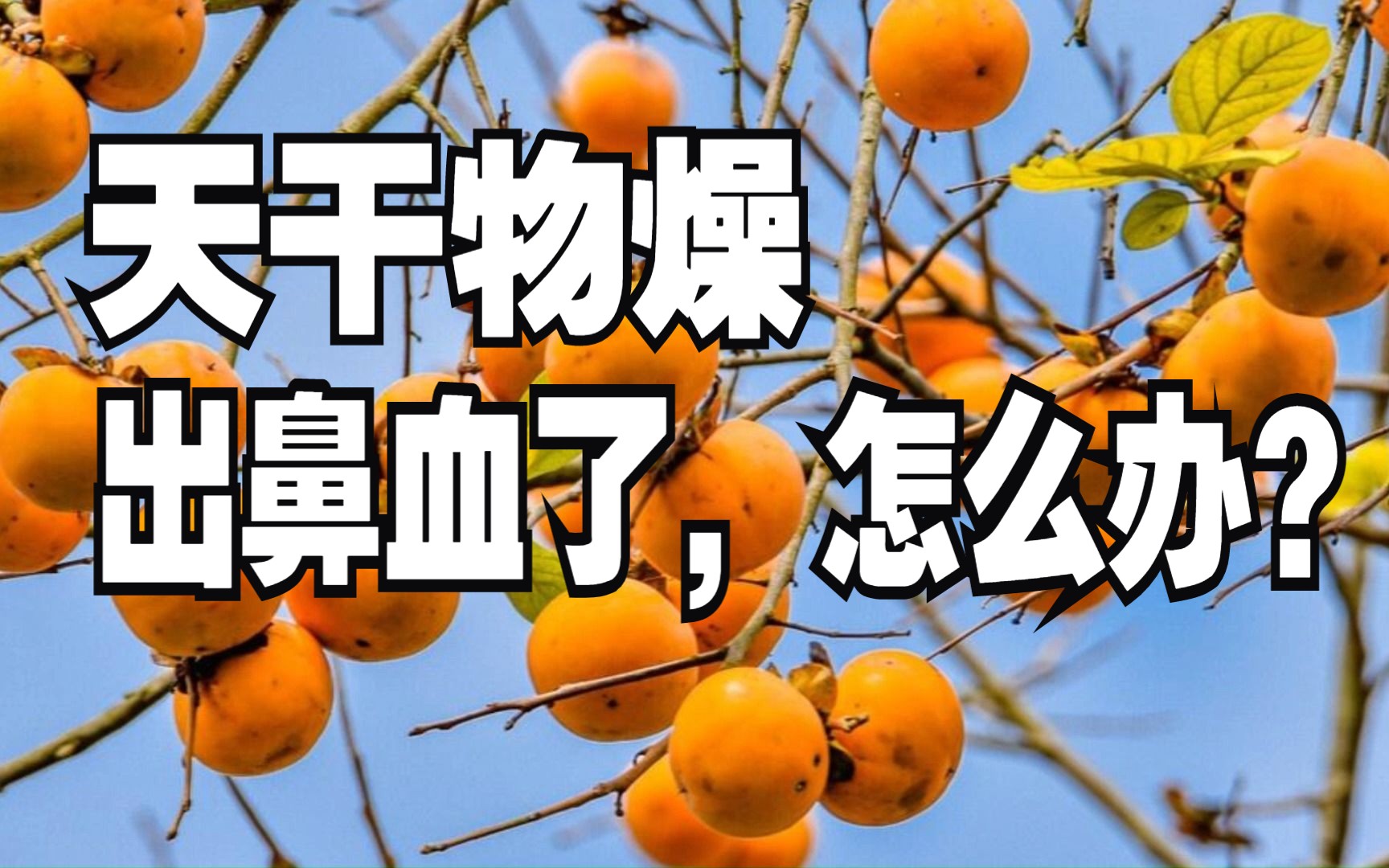 出鼻血的止血方法——人人都须懂的医疗常识。