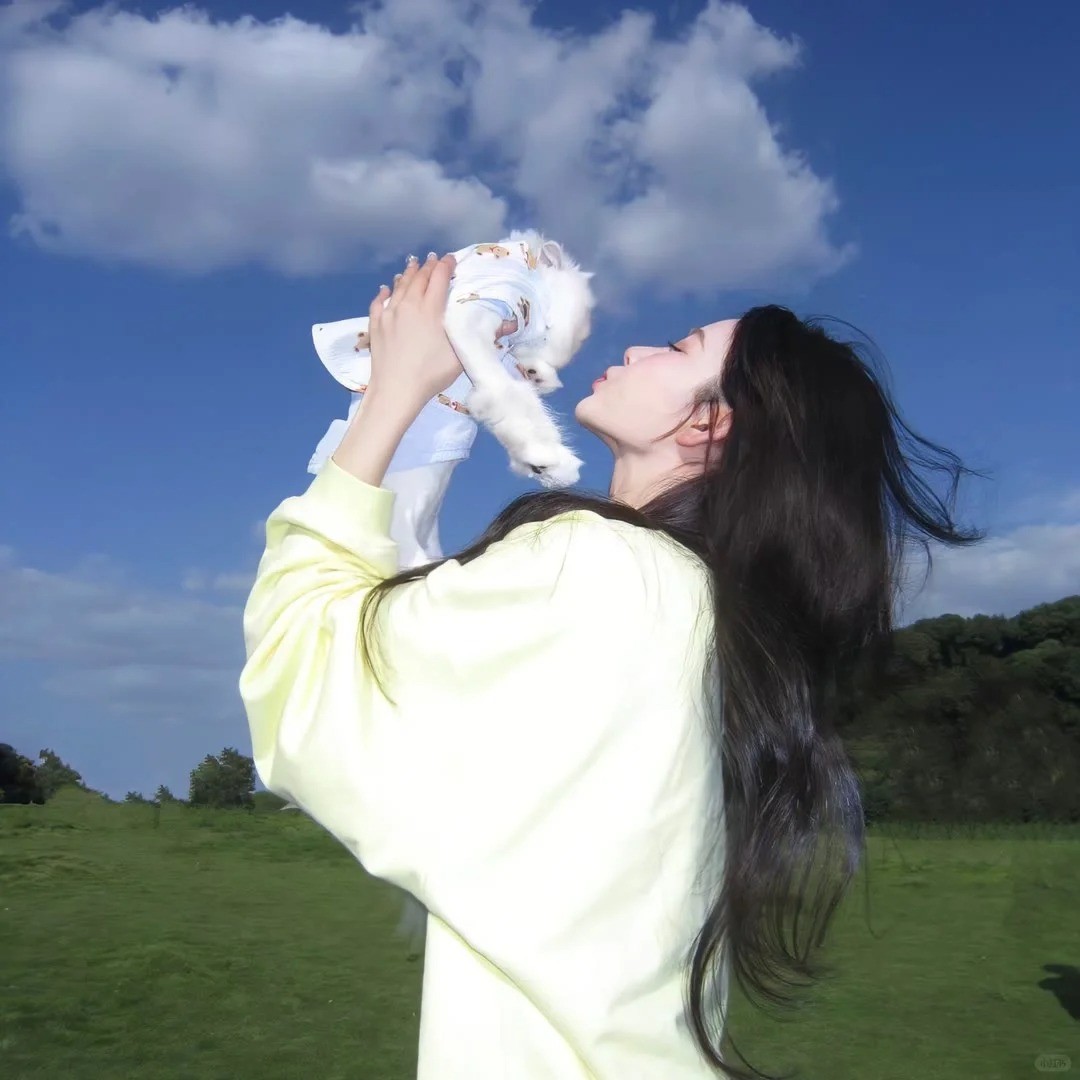 土豆土豆脑袋33 