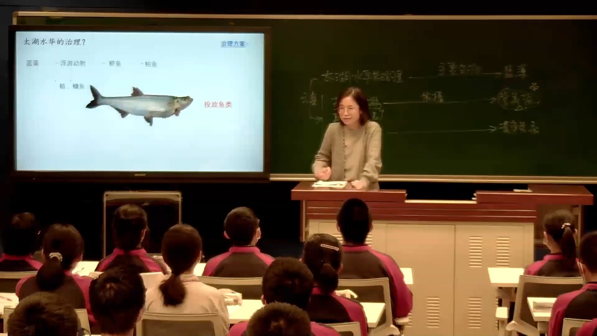 2024年优质课一等奖《影响种群数量变化的因素》