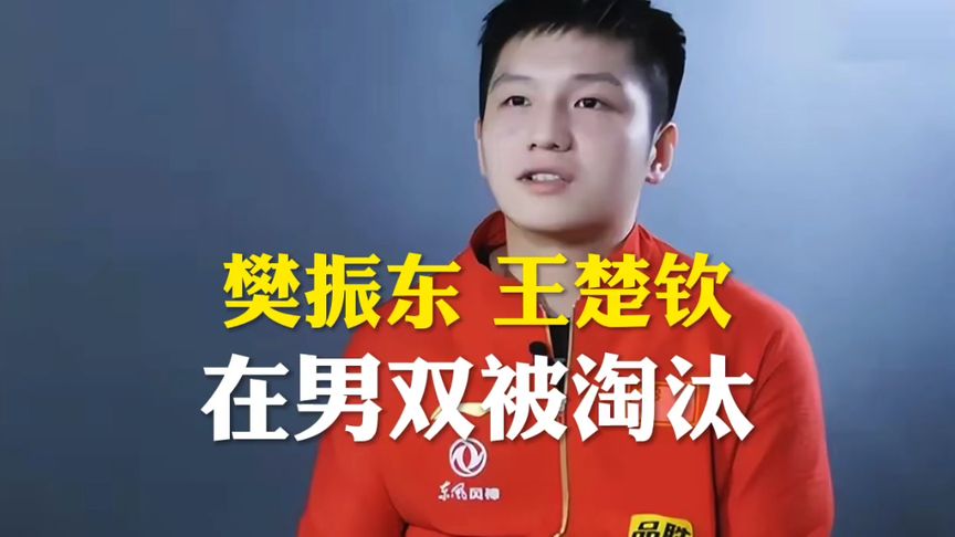 #樊振东#王楚钦#乒乓球