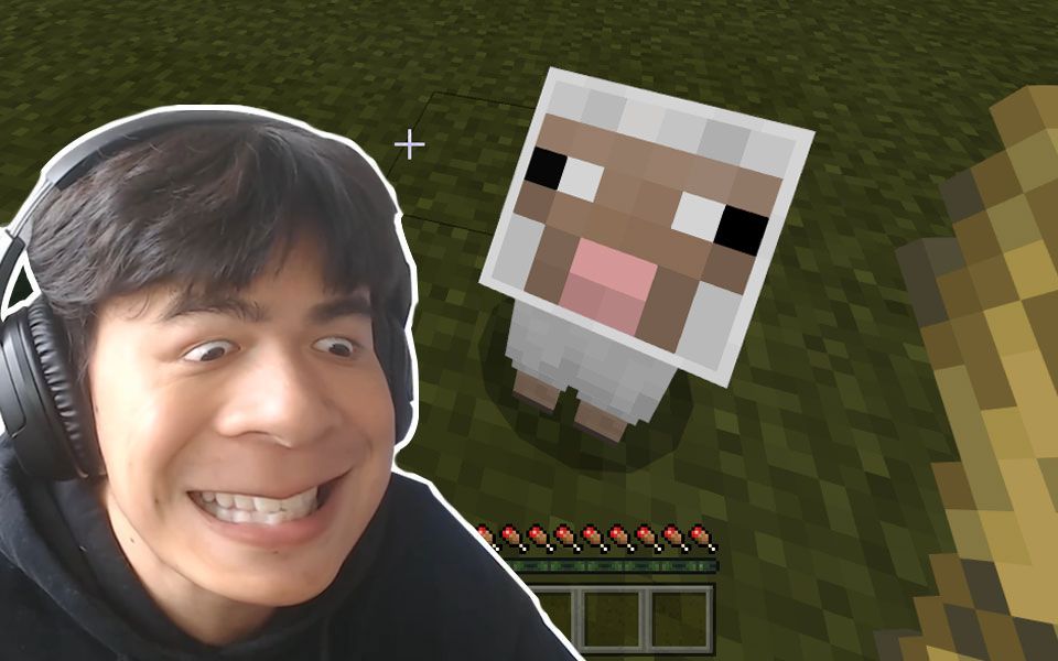 现实中我在家隔离!MC里我重拳出击!