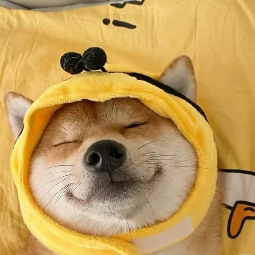 亚洲足球先生 