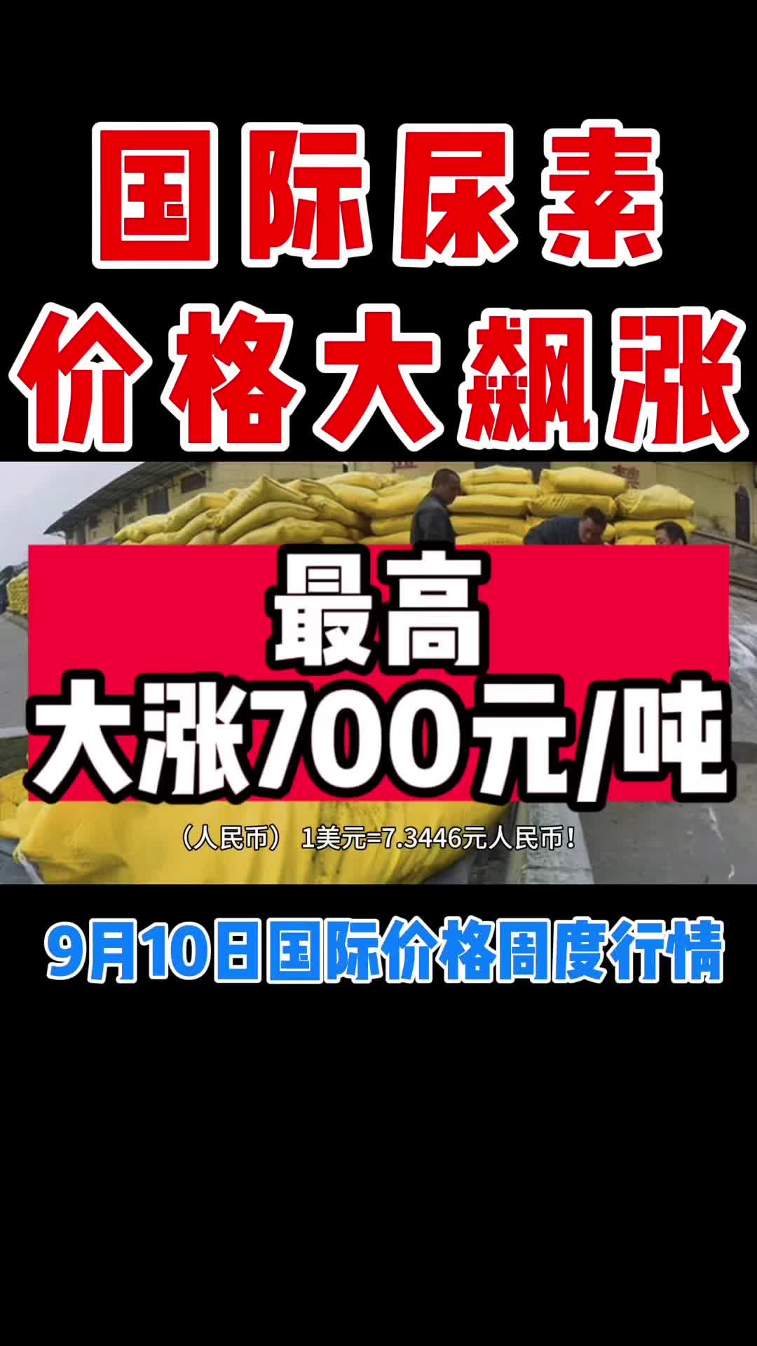 印度招标,国内出口管控,国际尿素价格大幅上涨#尿素 #农资肥料 #每日...