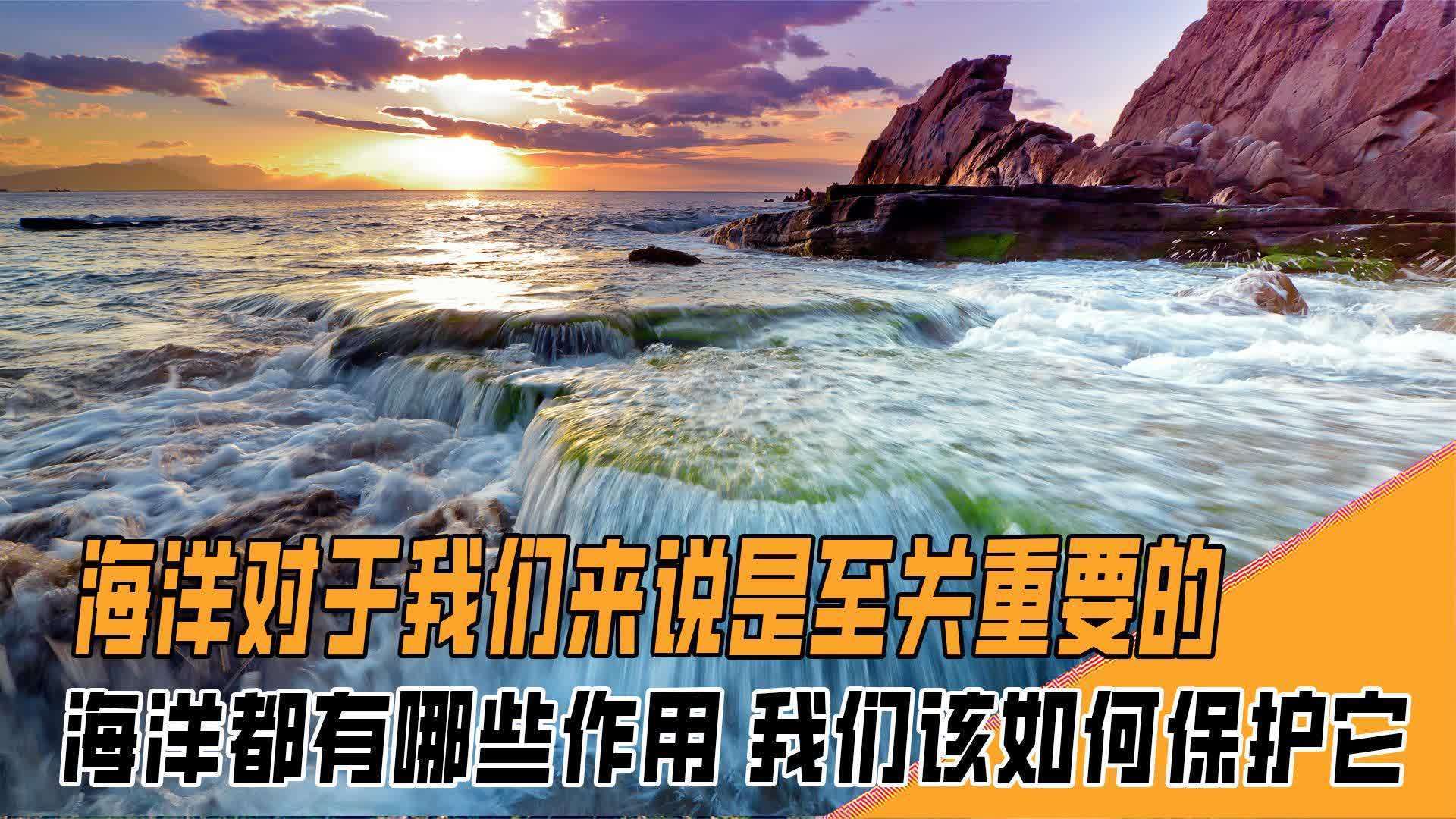 海洋都有哪些作用?大型食肉动物对于海洋生态系统有哪些影响?