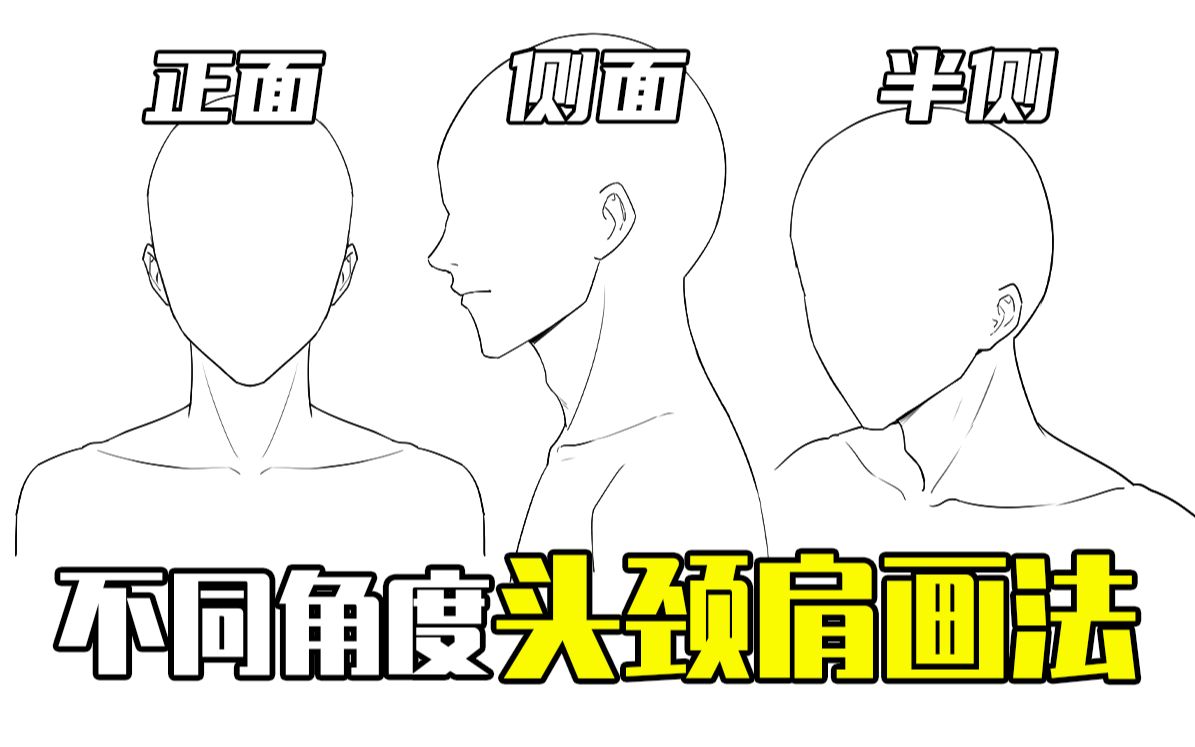动漫人物的头颈肩怎么画?不同角度头颈肩关系详解