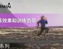 【教学】训练效果和训练负荷