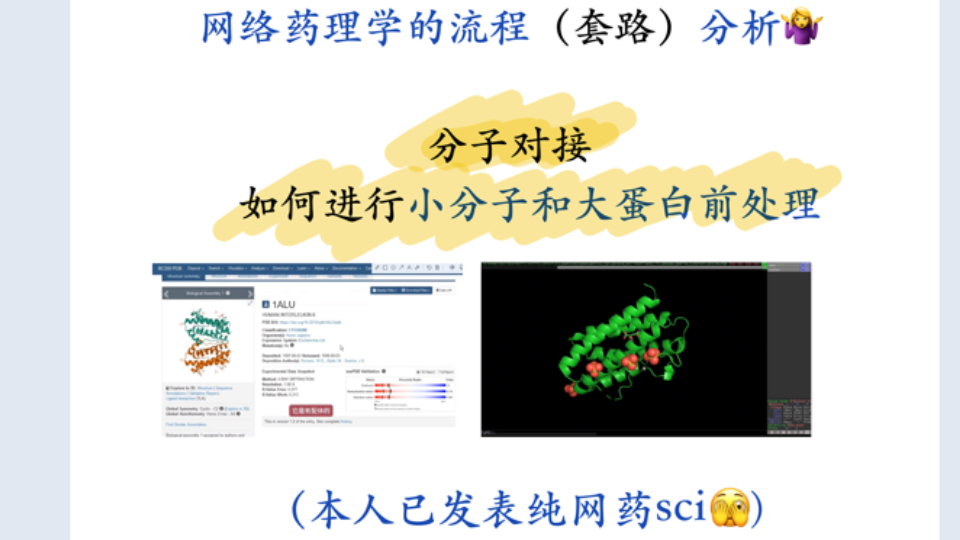 网络药理学7.0|分子对接前最后一步|分子对接前处理|PDB数据库/Pymol...