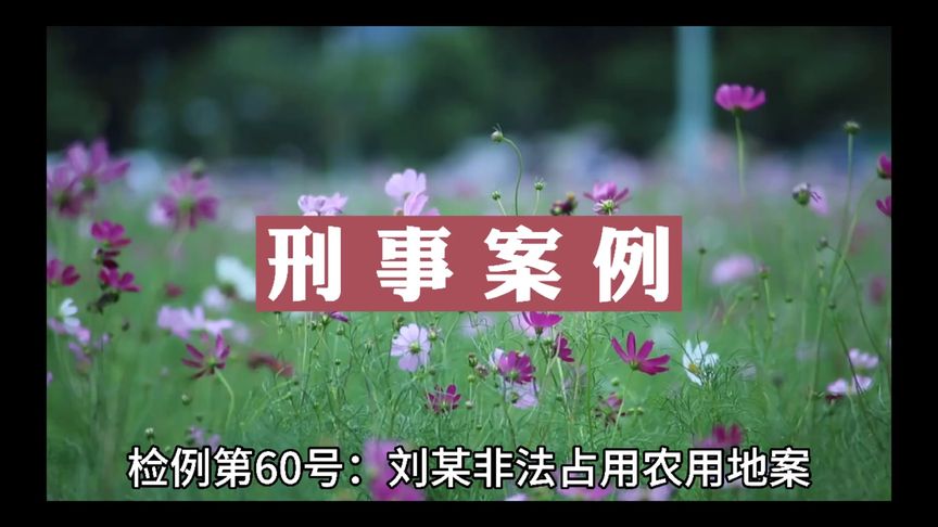 检例第60号:刘某非法占用农用地案