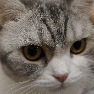 设计互助者 