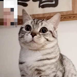 kysfgd 