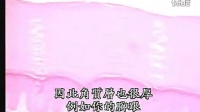 皮肤的结构与功能