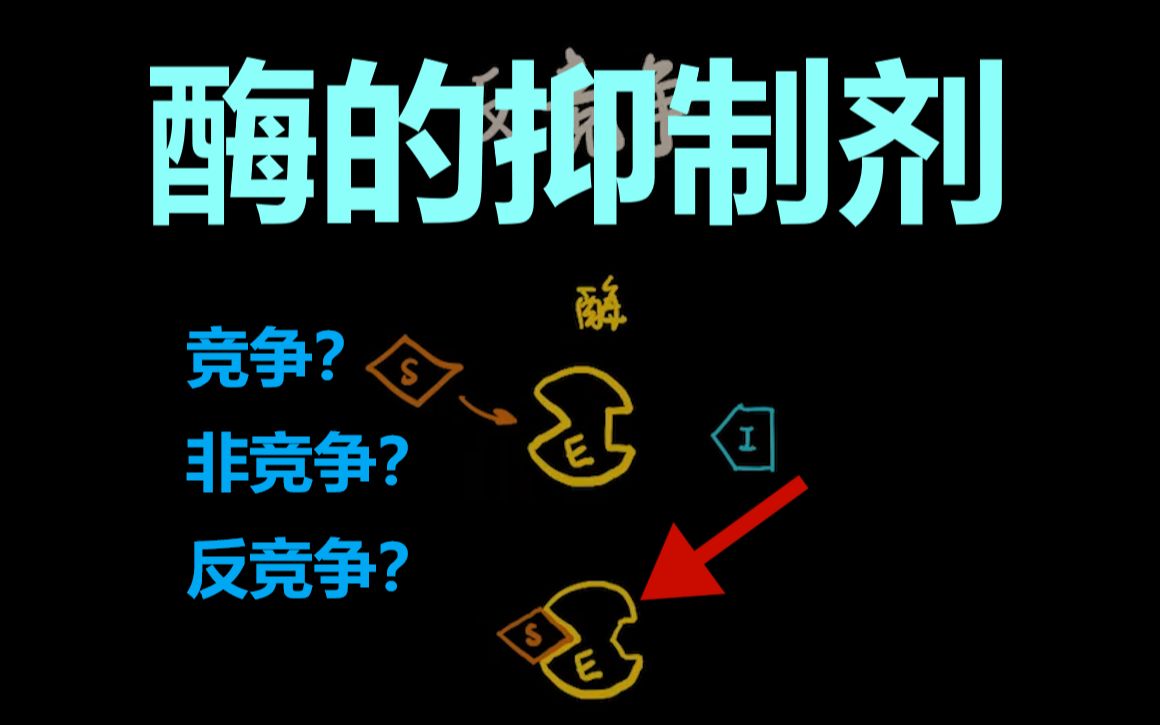 【生物化学】分分钟理解酶的抑制剂:竞争性/非竞争/反竞争性抑制剂,...