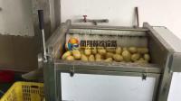 MSTP-80 Potato Peeler