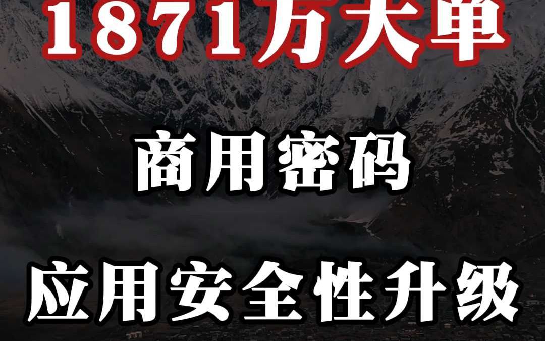 1871 万大单、商用密码应用安全性升级