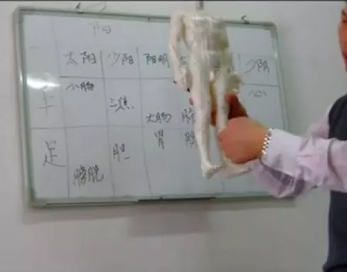 十二经络简单记忆法