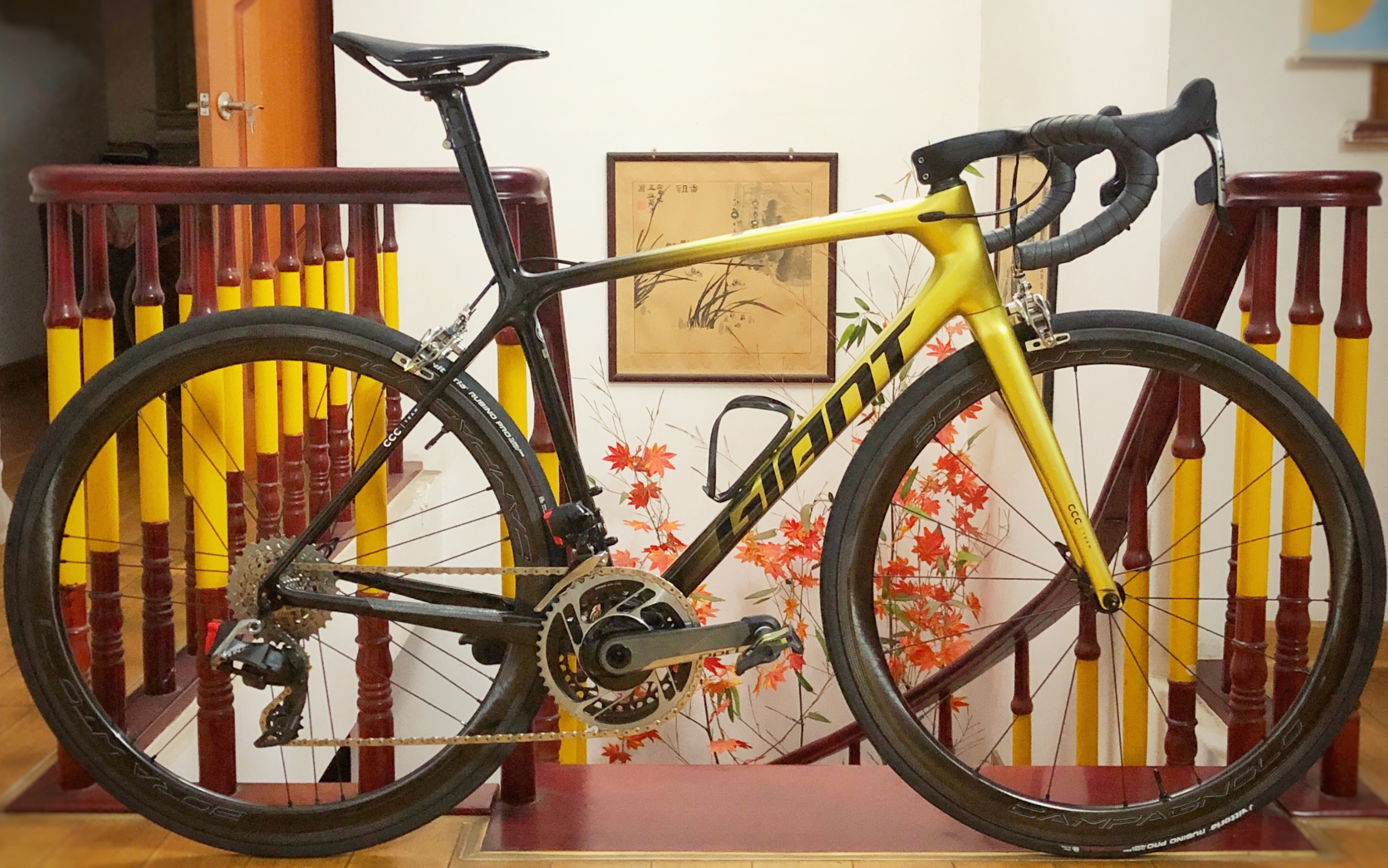 我的捷安特GIANT ADV SL GOLD CCC TEAM BIKE装车图集