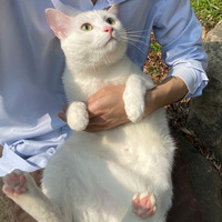 剧界漫游者 