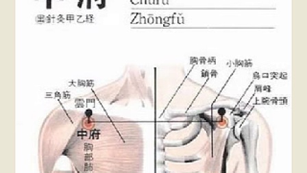 穴位解读(中府穴)