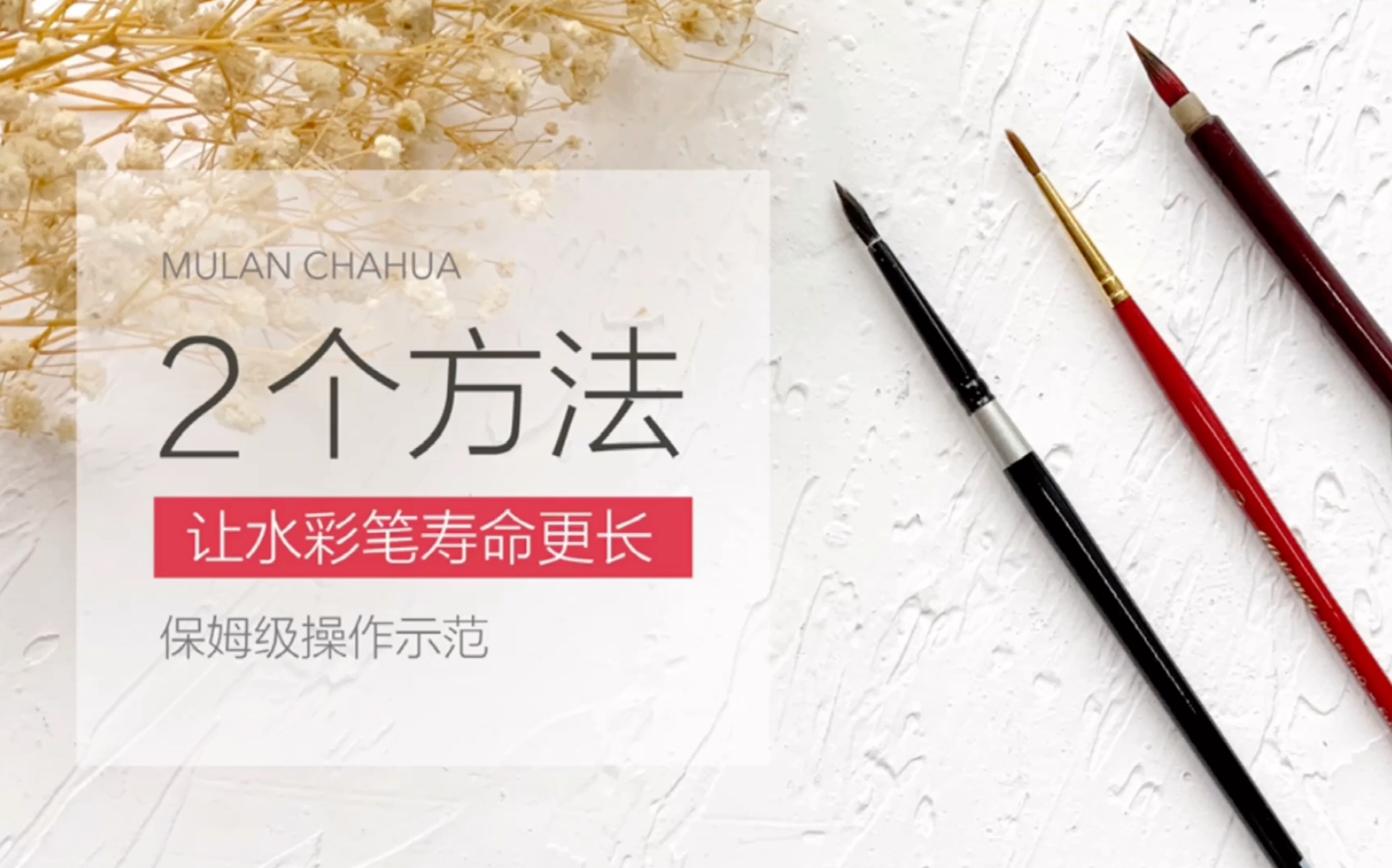 水彩新手适用 水彩笔开笔方法 保养方法分享